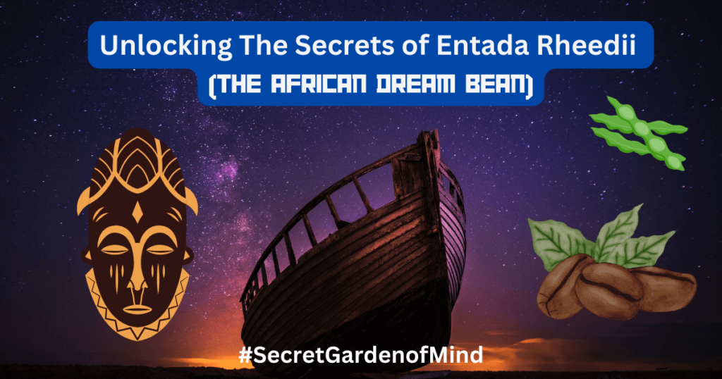 Unlocking the Secrets of Entada Rheedii: The African Dream Bean - S.G.O.M